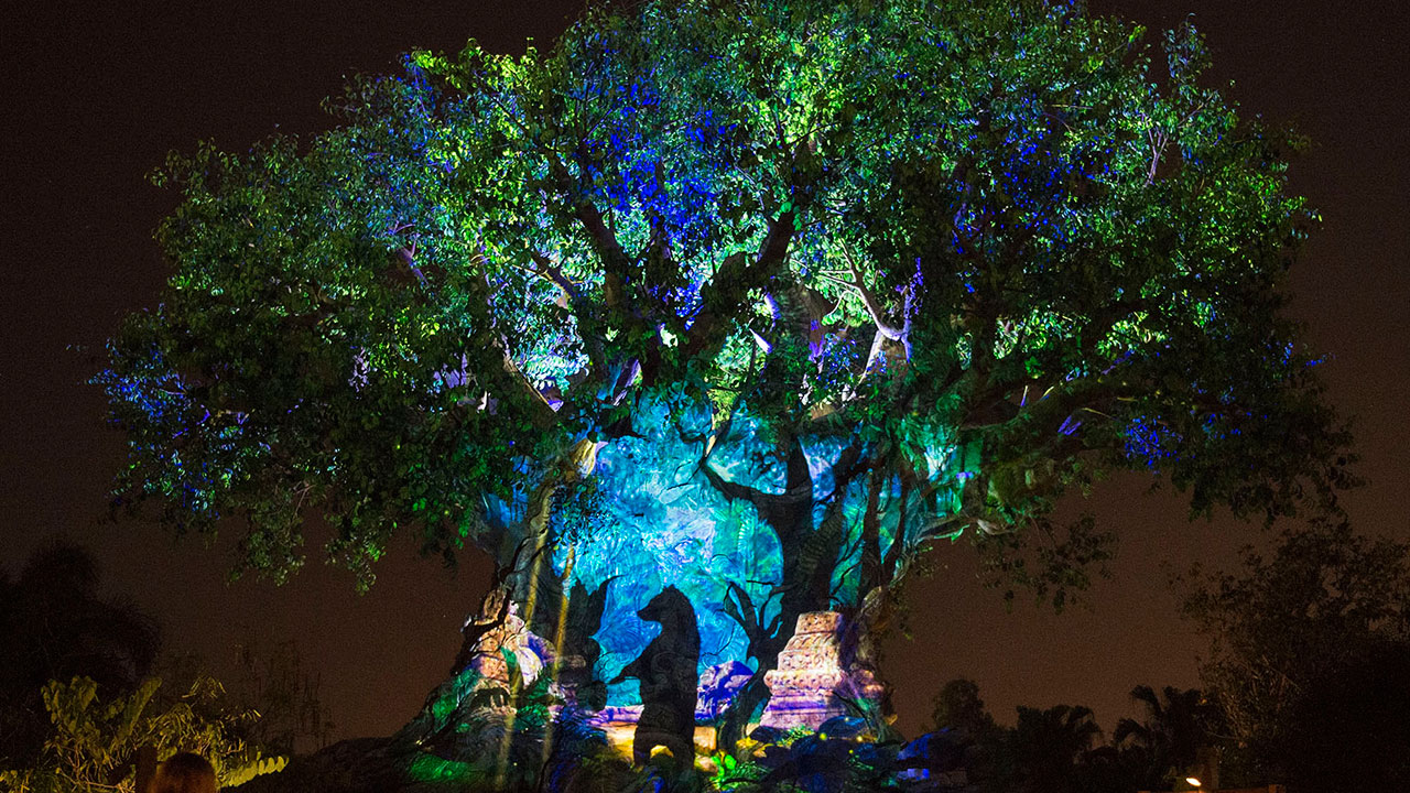 Up To Date Disney News!!! - Florida's Family Fun
